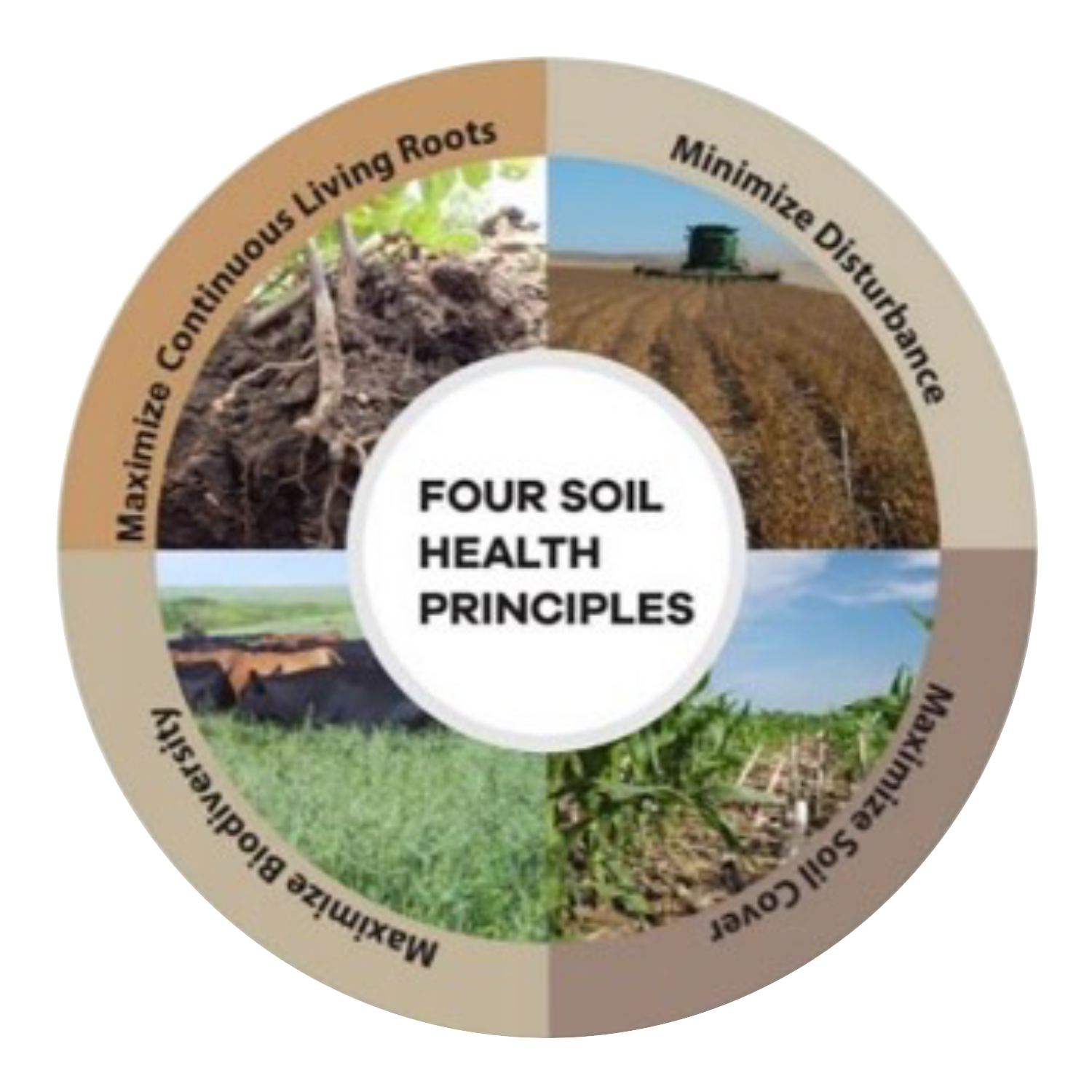 Regenerative Agriculture - JBW Farm Fresh